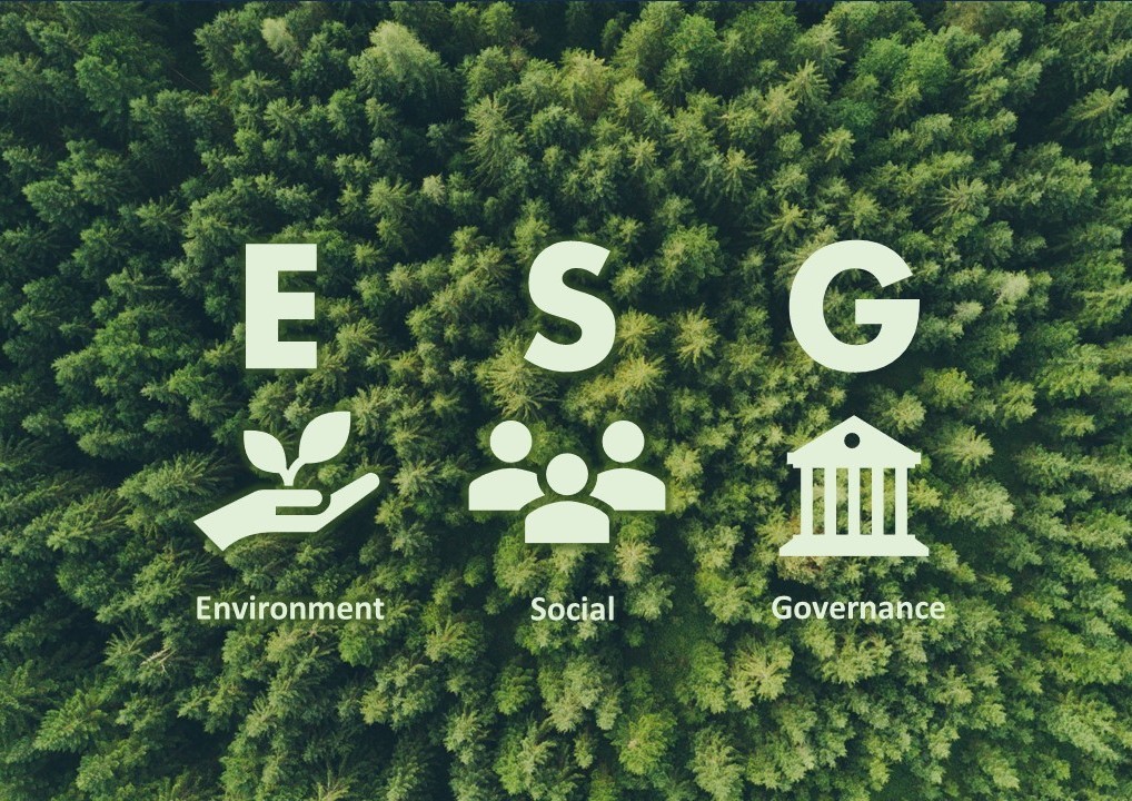Effektivisera ESG-arbetet = Microsoft Power Platform 🌍 - Bots.se